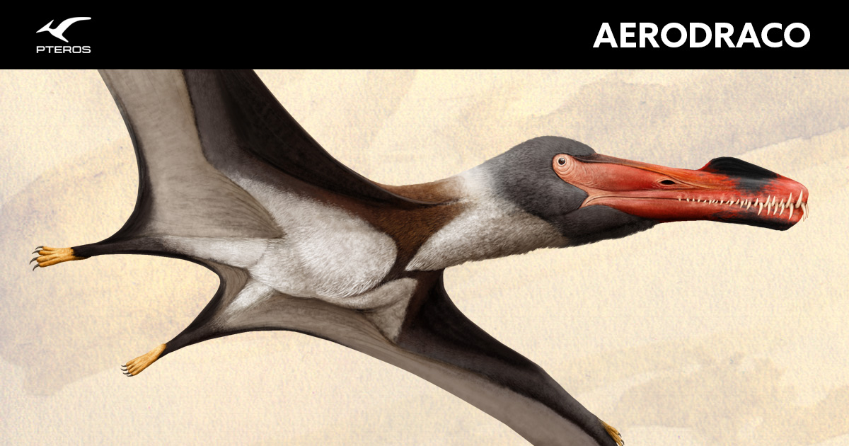 Pteros Pterosaur: Aerodraco